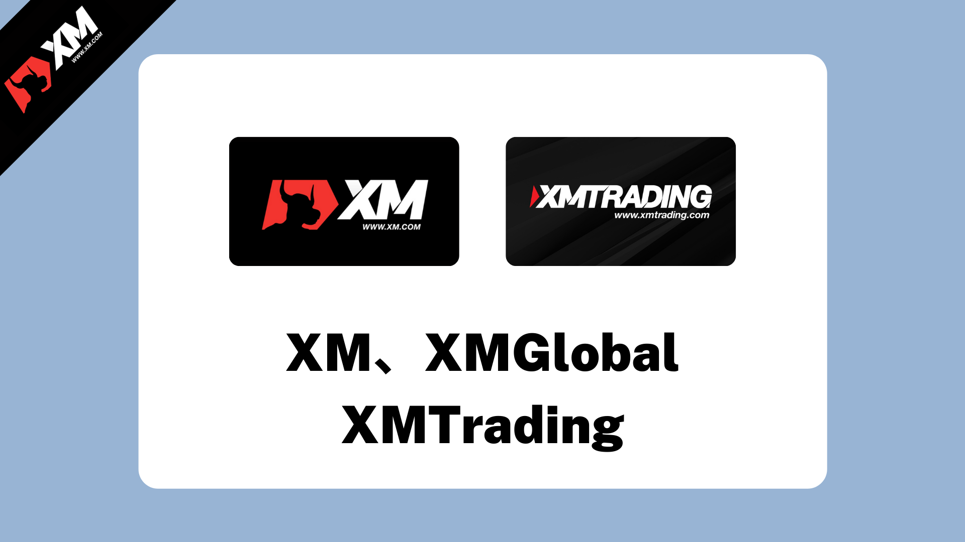 【2023年】XM・XMTrading・XMGlobalの違いをわかりやすく解説 | XM攻略所